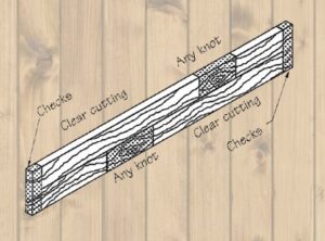 Wood Graining/Grading & Tree Growth